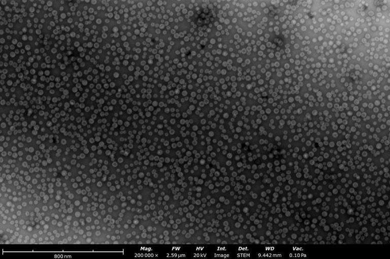 Phenom Pharos: A Compact Desktop STEM for Screening Negative Stained ...