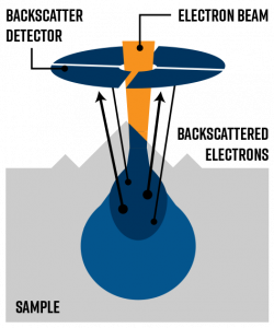 A Closer Look at Backscattered Electrons in Scanning Electron Microscopy (SEM) Imaging ...