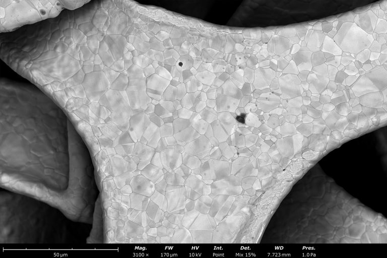 A Closer Look at Backscattered Electrons in Scanning Electron ...
