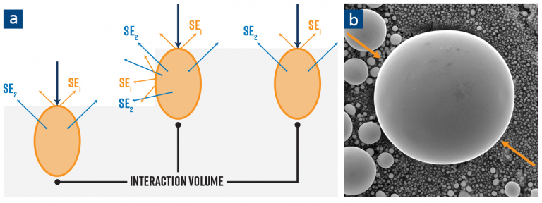 Secondary Electrons in SEM: Unlocking Surface Insights at the Nanoscale ...