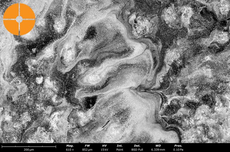 Unlocking New Dimensions: 3D Surface Visualization with Scanning Electron Microscopy ...