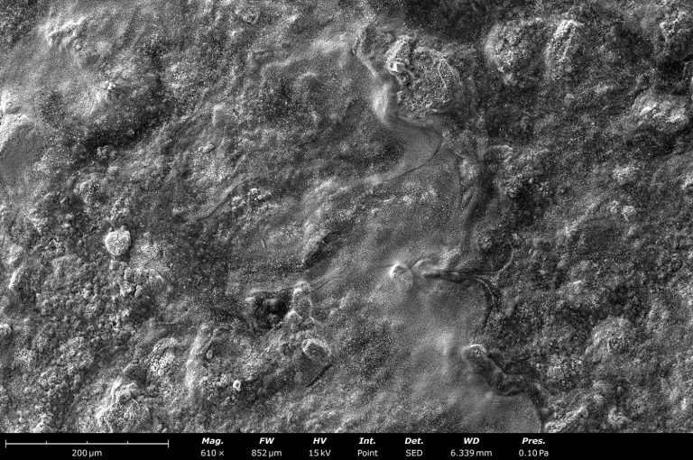 Unlocking New Dimensions: 3D Surface Visualization with Scanning ...