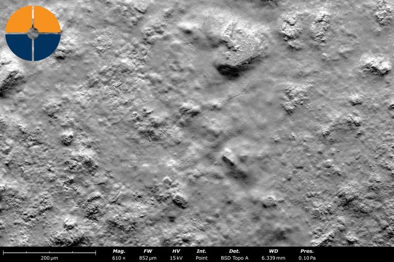 Backscatter Electron Detector & Secondary Electron Detector