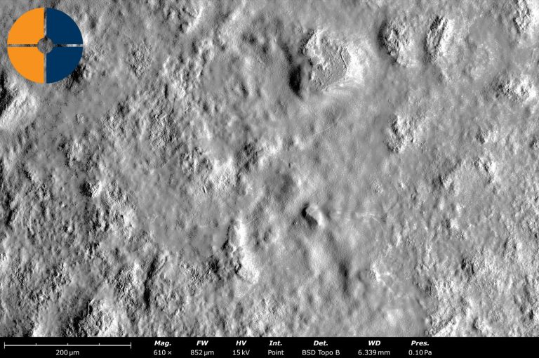 Backscatter Electron Detector & Secondary Electron Detector