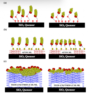 From Adsorption to Action: Characterizing PFAS Adsorption Mechanisms ...