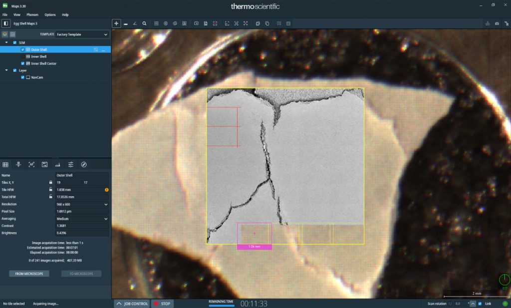 Large-area Mapping Workflows in Scanning Electron Microscopy (SEM ...