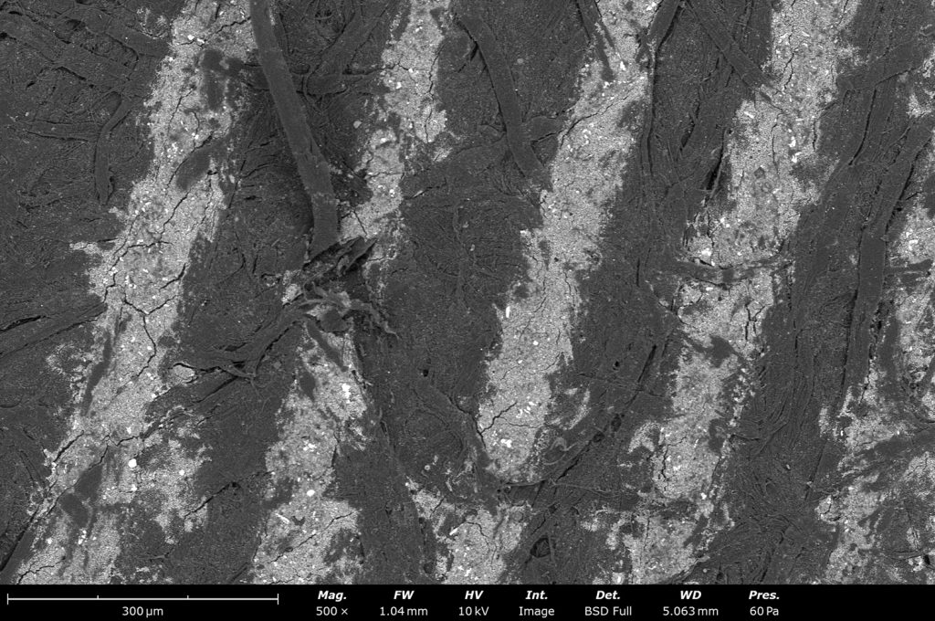 Automated Gunshot Residue Analysis | Forensic Microscopy