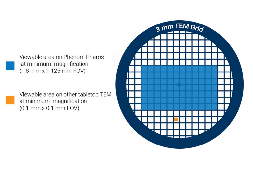 5 Reasons to Use a Desktop STEM to Screen Negatively Stained Samples ...