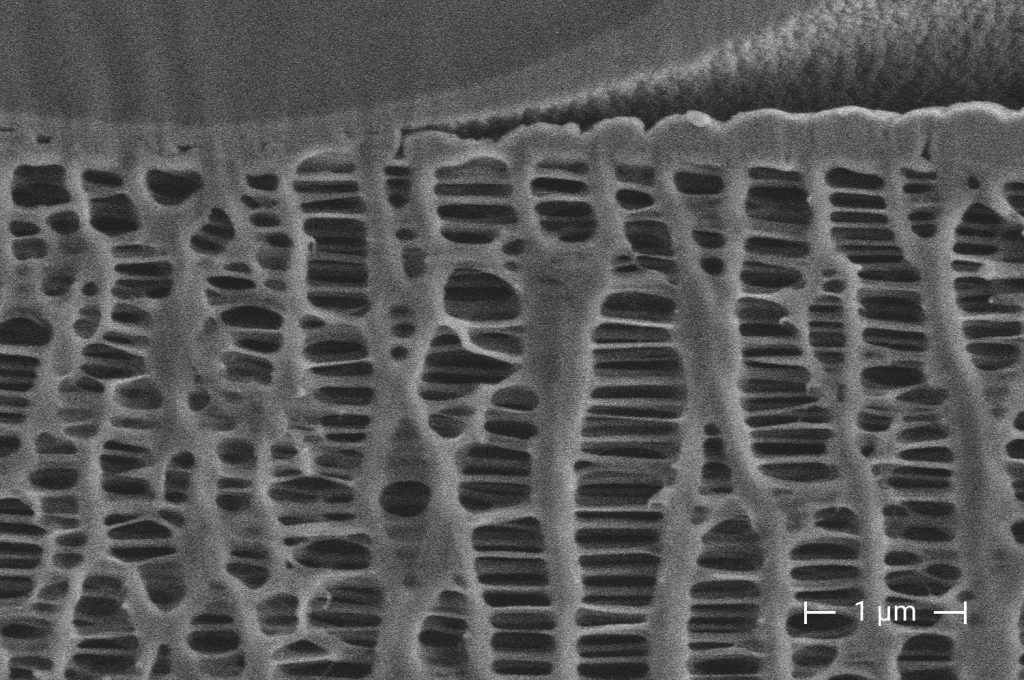 Enhancing SEM Performance with Ion Milling Technology | Nanoscience ...