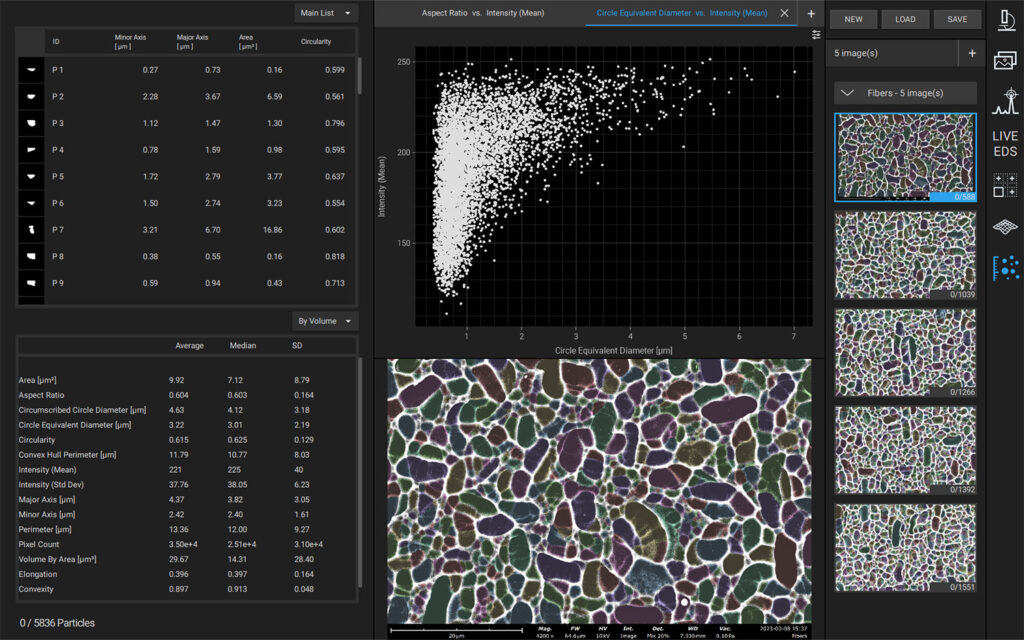 ProSuite Image Analysis Software | Nanoscience Instruments